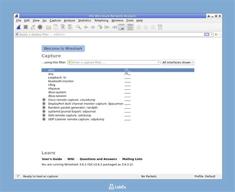 Explore And Customize Wireshark Interface Labex