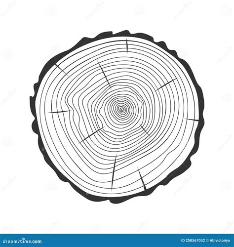 Tree Trunk Rings In Doodle Style Dendrochronology Method To Determine