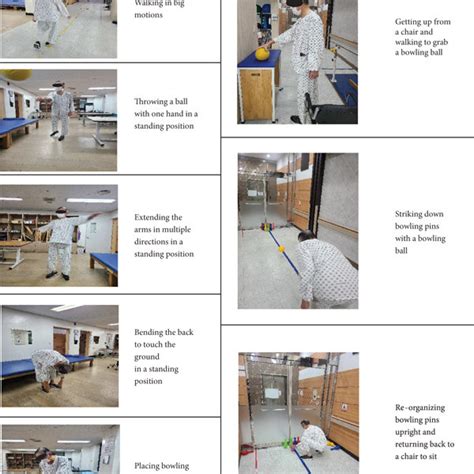 Functional Component Tasks And Hierarchy Tasks Bathing Download Scientific Diagram
