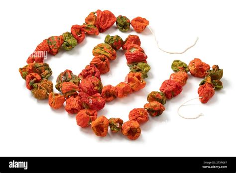 Chain Of Dried Peppers Biber Kurusu Isolated On White Background