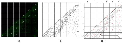 Optical Particle Visualization Technique Using RedGreenBlue And Core Storage Shed Flow Field