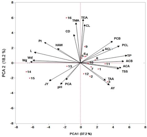 Grouping The Examined Traits With The Biplot Analysis Method And The Download Scientific