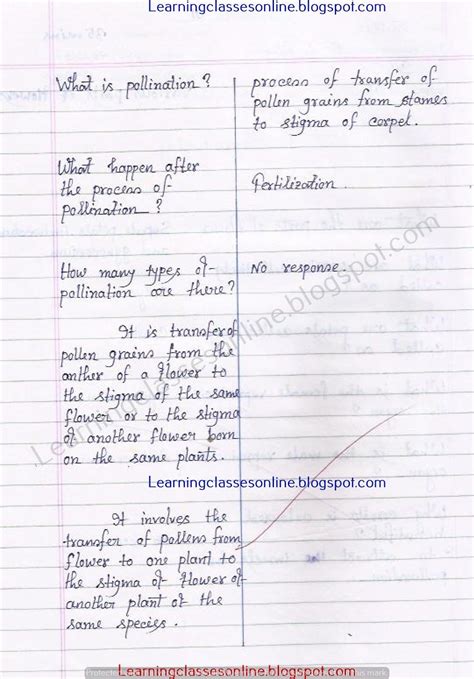 Microteaching Lesson Plan For Biology