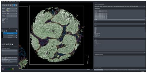 Anndata Analysis — Napari Prism