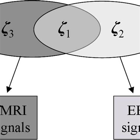 Formalization Of EEG FMRI Coupling Uncoupling A And EEG FMRI Download Scientific Diagram