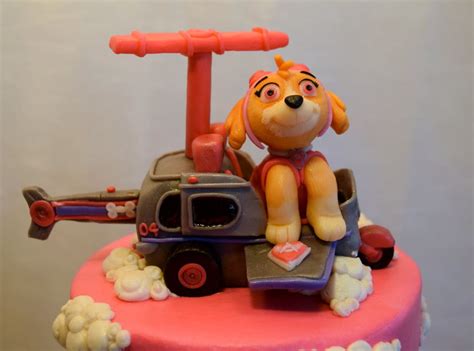 Skye And Everest Paw Patrol Cake Cakecentral Com