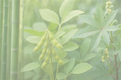 Building The Future With Bamboo A Fully Bio Based Metastructure For Modular Composite Design