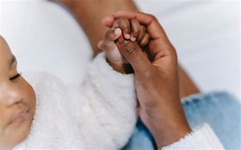 Antidepressants Impact Prefrontal Cortex Development Quicknews