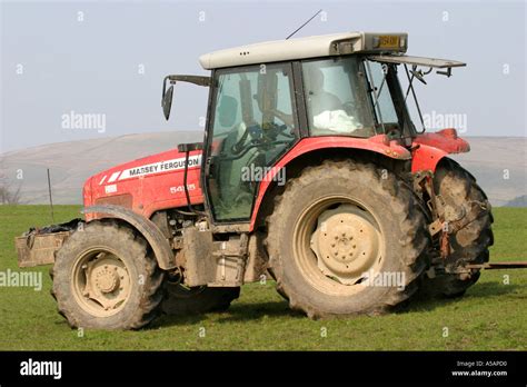 Red Massey Ferguson MF Tractor In Grass Field Stock Photo Alamy