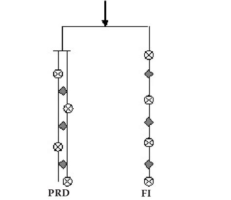 Scheme With Two Irrigation Types Partial Rootzone Drying Prd And
