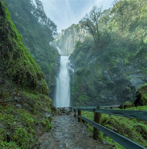 La Temporada De Lluvias Se Adelantó Y Esta Cascada Cerca De La Cdmx