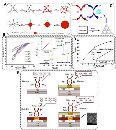 Examples Of Se Based Nanosensors In The Detection Of Hydrogen Peroxide Download Scientific