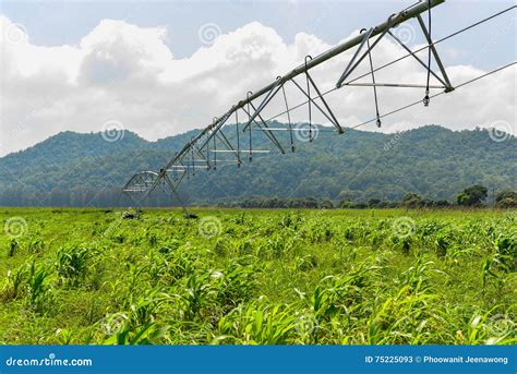 Linear Irrigation System Stock Image Image Of Crop Green 75225093