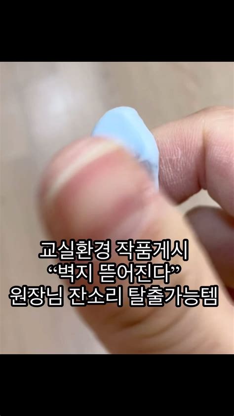 또치샘 보육교사 어린이집 유치원 유아교육 숲놀이지도사 작품게시하면서 벽지 뜯어질까봐 시트지 덧대고나중에 끈끈이 붙고😭 저만 그런거 아니죠