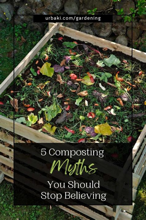 Composting Myths You Should Stop Believing