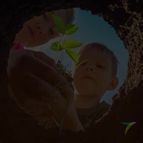 Mert Çakıcı Linkedinde Yayınladı