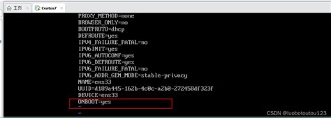 centos下查看本机ip地址方法 centos查看ip地址 csdn博客