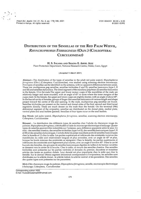 Pdf Distribution Of The Sensillae Of The Red Palm Weevil Rhynchophorus Ferrugineus Oliv