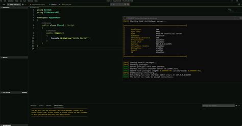 [c server] can t set up working environment correctly scripting