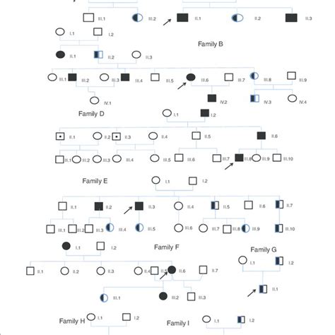 Description Of The Nine Pedigrees With Fpdaml Healthy Relatives