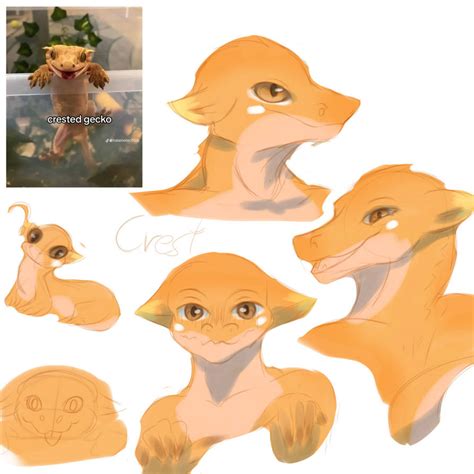 Crest By Commanderpur On Deviantart