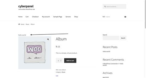 How To Use WooCommerce Hooks A Complete Guide