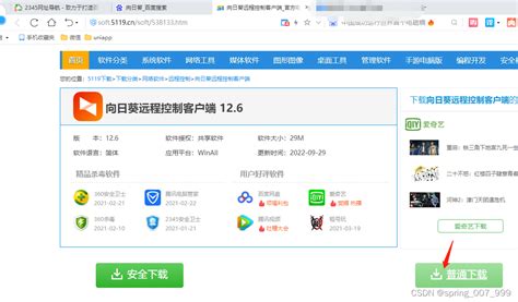 向日葵远程控制软件pemmtop Csdn博客