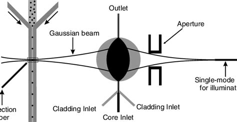 Schematic Configuration Of A Microfluidic Flow Cytometer Using An Download Scientific Diagram