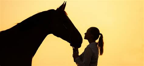 Supplementing With Selenium And Vitamin E In Goats Sheep And Cattle B C