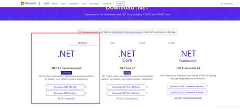 5 安装使用 windows10如何安装net5 csdn博客