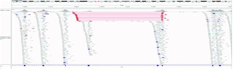 Bam Visualisation Of The Intragenic Heterozygous Deletion Of Col4a3