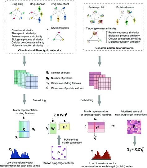 target identification among known drugs by deep learning from heterogeneous networks chemical