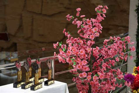 Говийн байгаль түүхийн музей