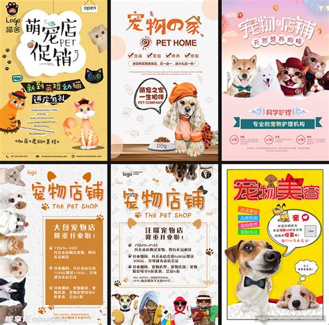 宠物店海报设计图 海报设计 广告设计 设计图库 昵图网