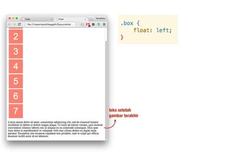 CSS Layouting Float PDF