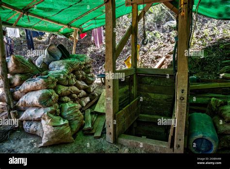 Artisanal And Illegal Gold Mining Using Mercury And Sodium Cyanide In Lombok Indonesia Asia