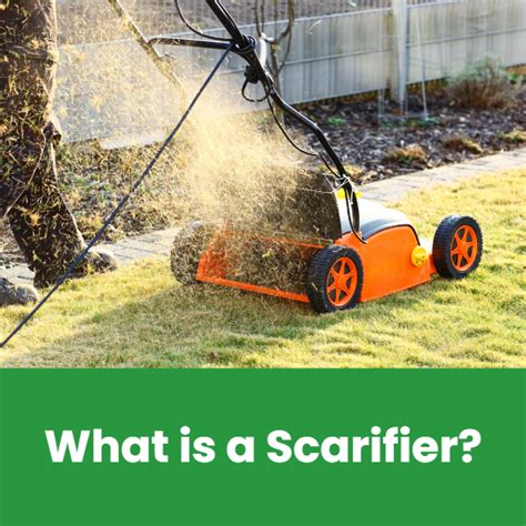 What Is A Scarifier Landzie