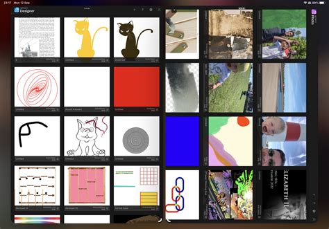 Designer Appears Upside Down In IPadOS 16 1 Beta V1 Bugs Found On