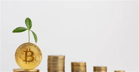 美 대선후보 로버트 케네디 주니어 자녀 위해 비트코인 매입btc는 법정화폐 대안