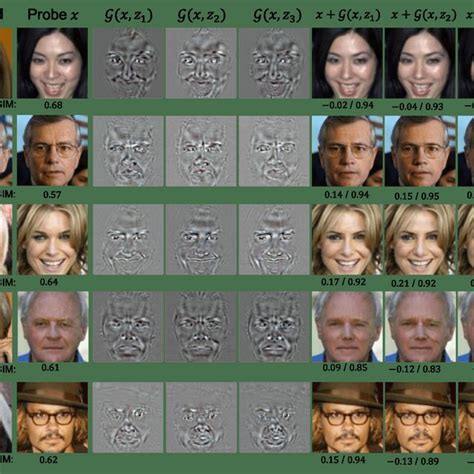 examples of generated adversarial images along with corresponding