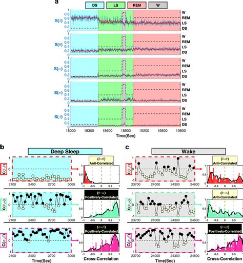 Complex Temporal Dynamics And Distinct Profiles Of Brain Wave Download Scientific Diagram