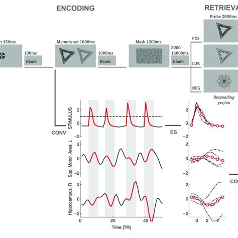 The Flowchart Of The Task Requiring Global Information Processing And Download Scientific