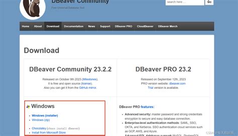 dbeaver连接hive数据库 csdn博客