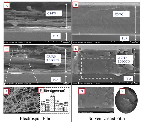 Microstructure Of Cross Section Of Es Bl A Sc Bl B Es Bl 20egcg