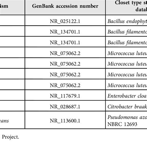 Identification Of Bacterial Isolates Based On 16s Rrna Partial Sequence Download Scientific