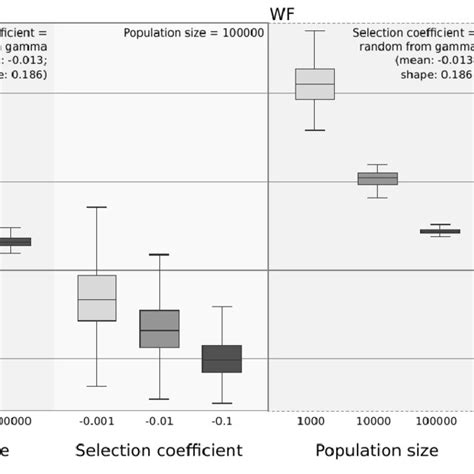 Population Size And Gene Specific Extreme Selection Coefficient Explain Download Scientific