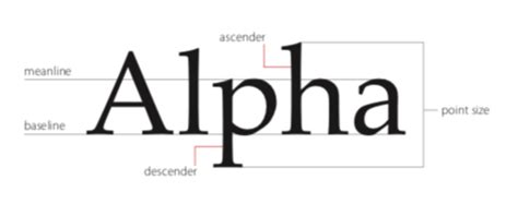 Unit Advanced Typography Concepts Flashcards Quizlet