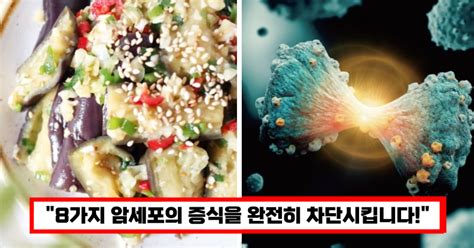 가지를 드세요 8가지 암세포의 증식을 차단시킵니다 항암채소 1위 가지의 섭취효과를 극대화 시키는 방법이라고 뉴스프레스