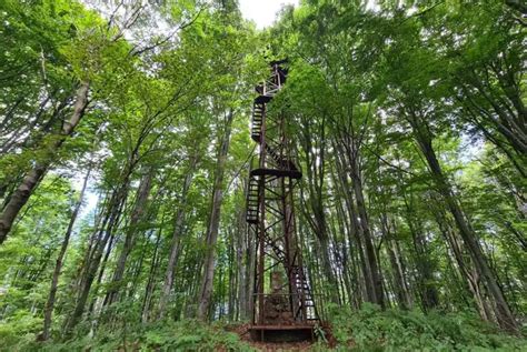 Изкачване на връх Братан в Сърнена Средна гора