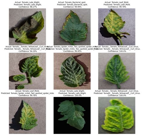 classification results for plant village data set download scientific